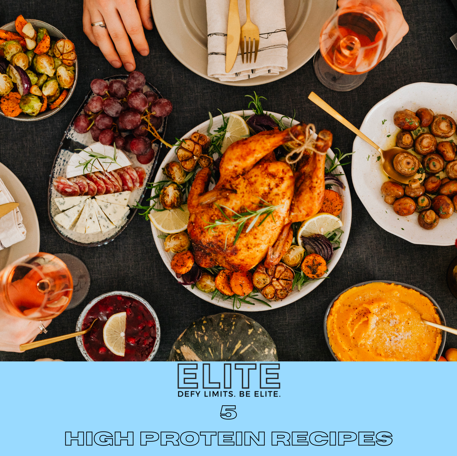 HIGH PROTEIN RECIPES - 5 PACK – BecomeElite